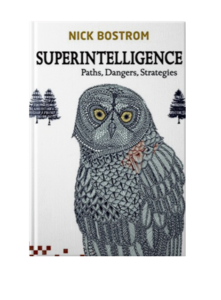 Superintelligence: Paths, Dangers, Strategies – 1st Edition – The Best ...